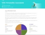 Top 6 Best DISC Assessments (With Free Options) | The Millennial Grind